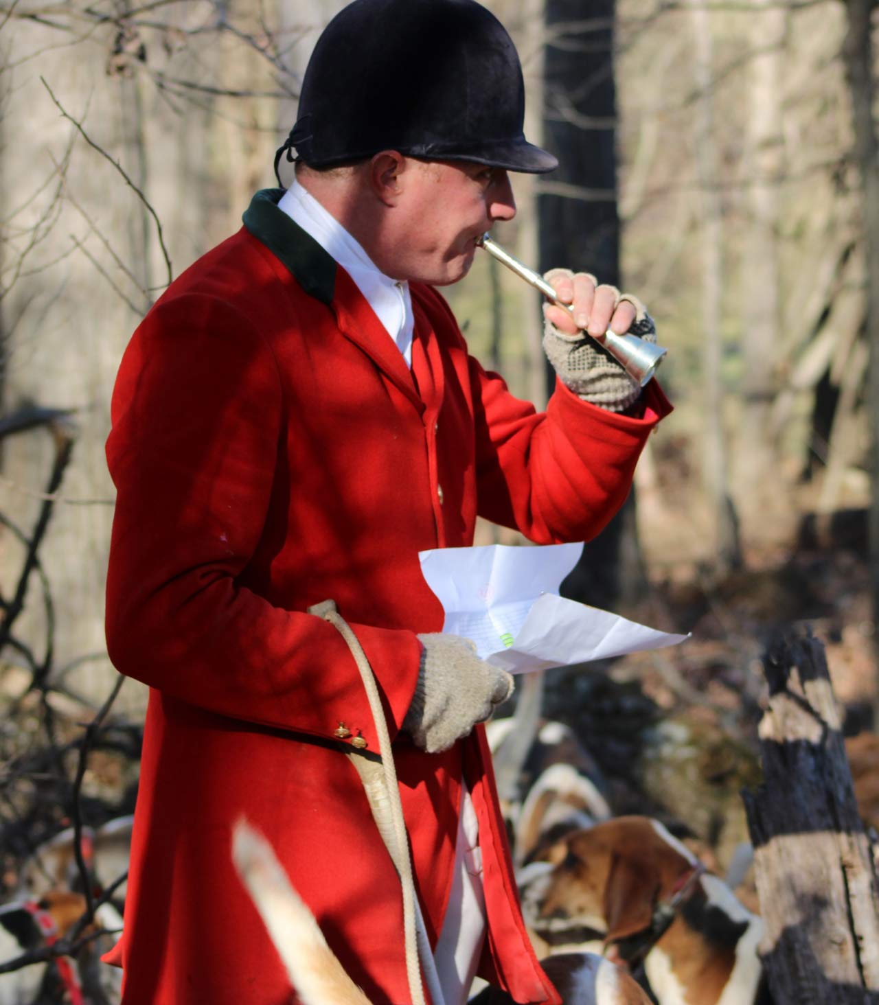 About - Green Spring Valley Hounds