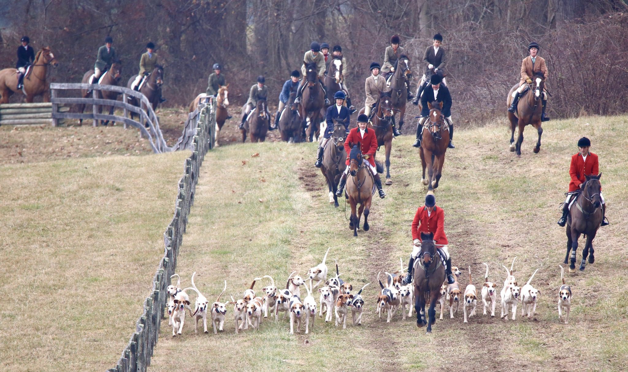 Home - Green Spring Valley Hounds
