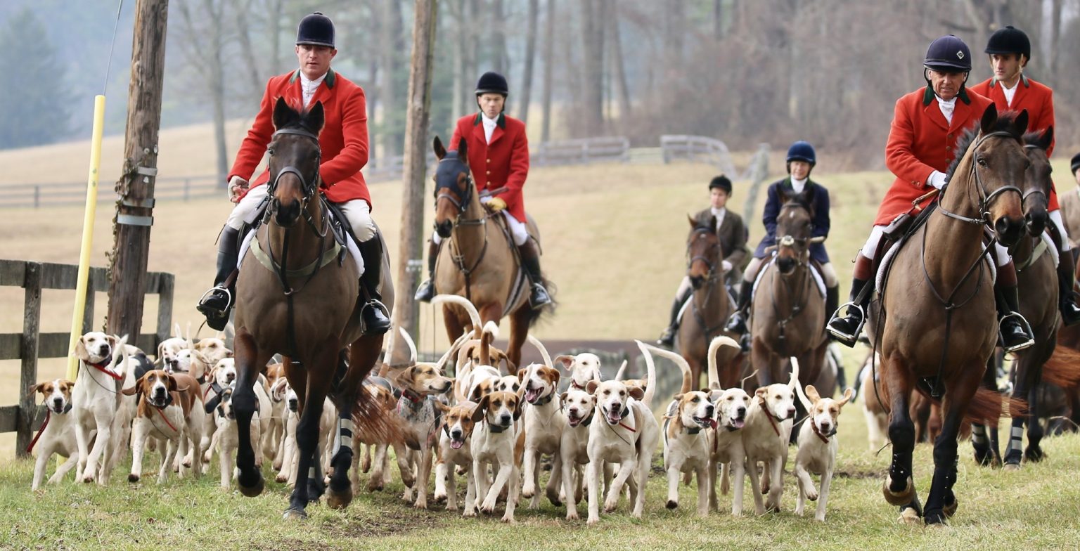 Home - Green Spring Valley Hounds